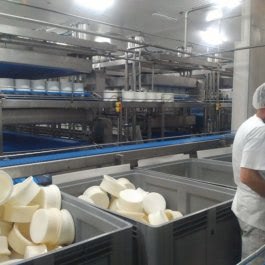 Manchego Corcuera DOP 3 month