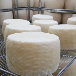 Sfizio Pecorino Fresh